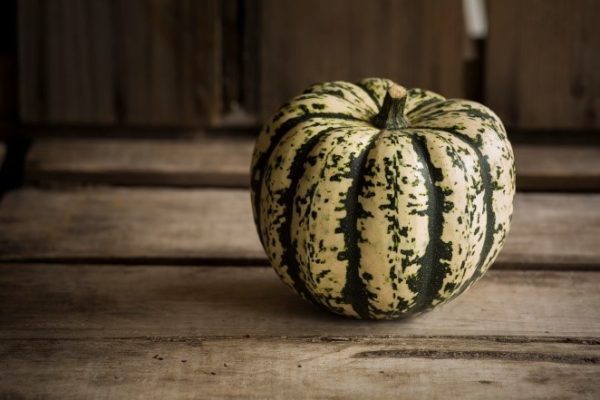 LES DIFFÉRENTES VARIÉTÉS DE COURGES – Fannelie.com
