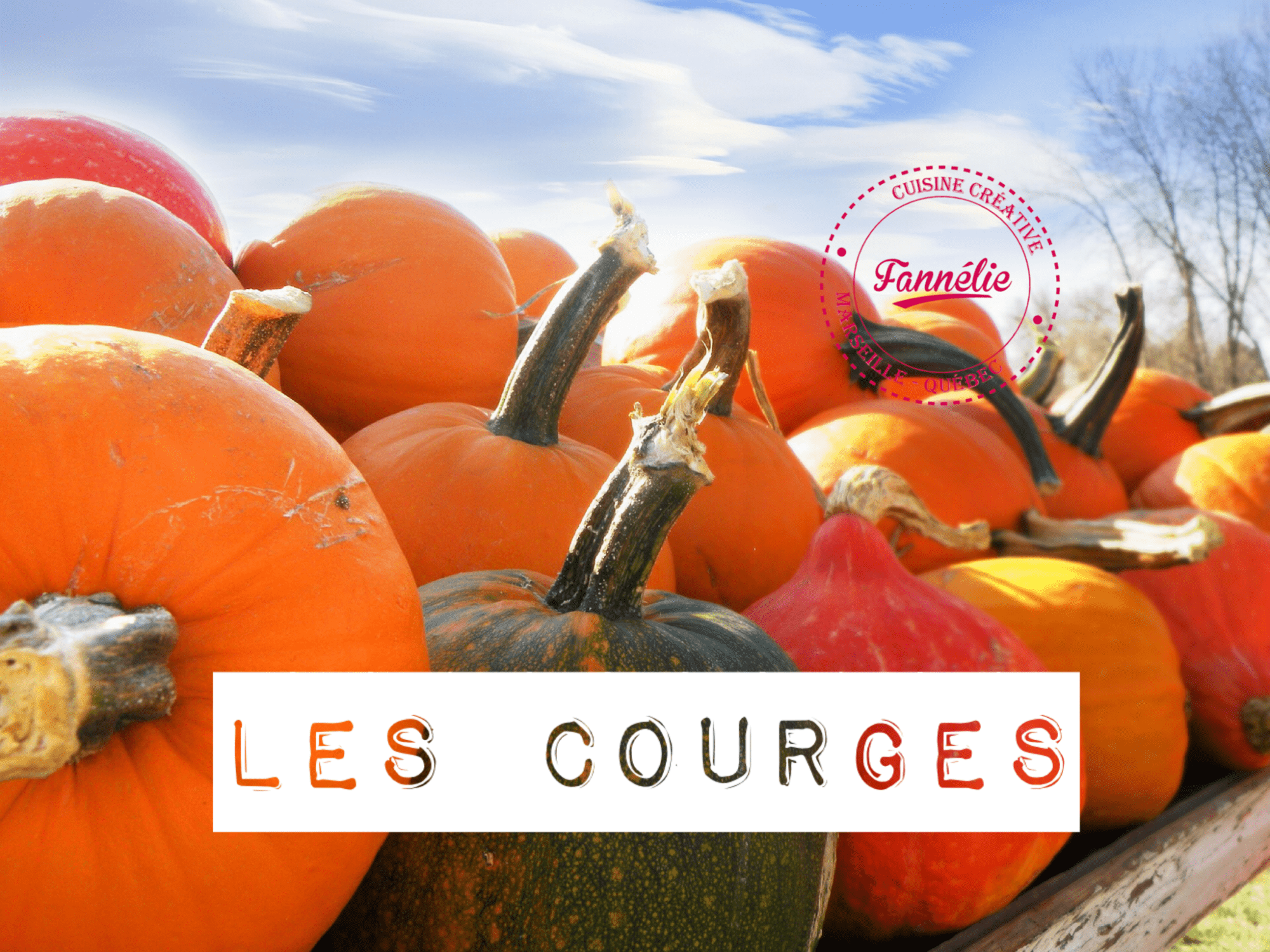 LES DIFFÉRENTES VARIÉTÉS DE COURGES – Fannelie.com